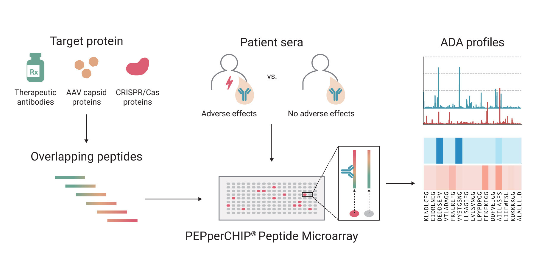 ADA Epitope Mapping by PEPperPRINT